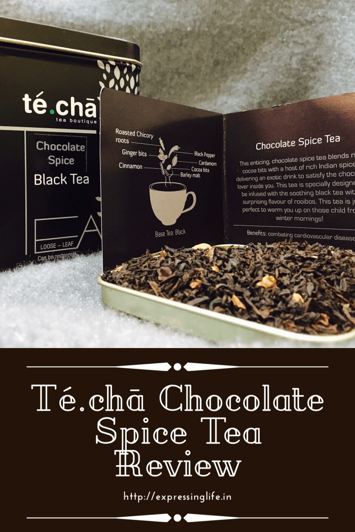 TéChā Chocolate Spice Tea Review - Expressing Life